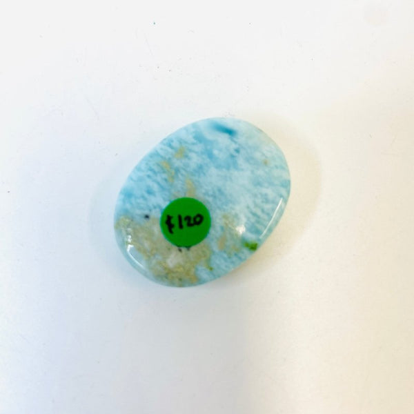 Authentic Larimar Crystal Turtle Carving | Healing Energy Communication ...